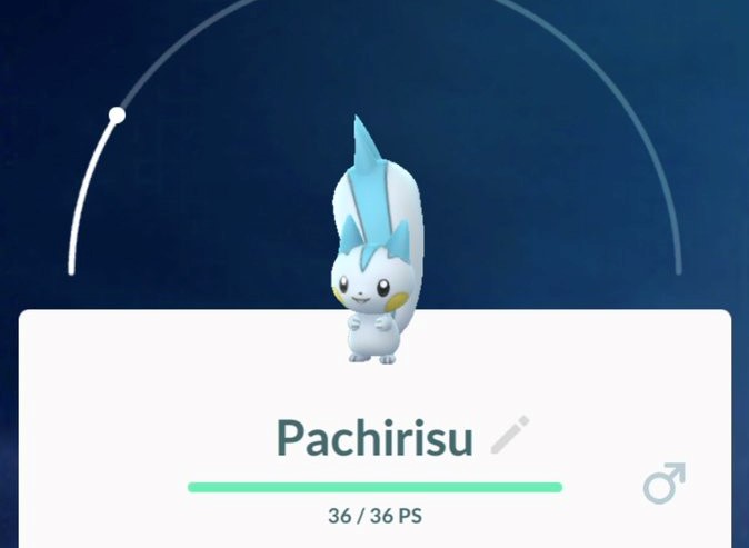 Pachirisu Pokemon Go