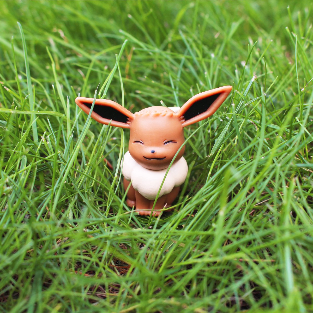Video: Sort and Classify game starring Eevee now available on Pokémon ...