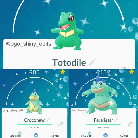 Shiny Totodile, Shiny Croconaw and Shiny Feraligatr can now be found ...