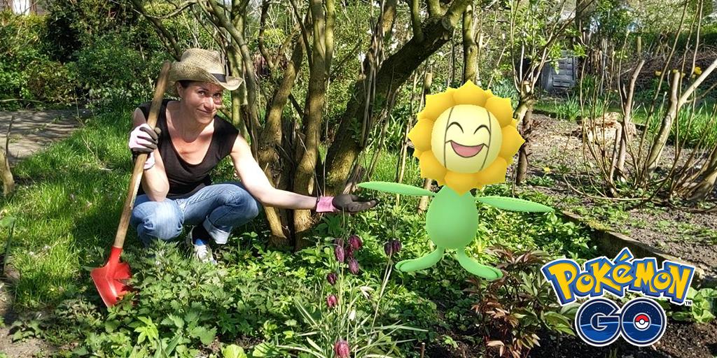 Niantic shares GO Snapshot photo of Sunflora in Pokémon GO – Pokémon Blog