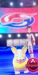 New Electric-type Pokémon Yamper with new ability Ball Fetch revealed ...