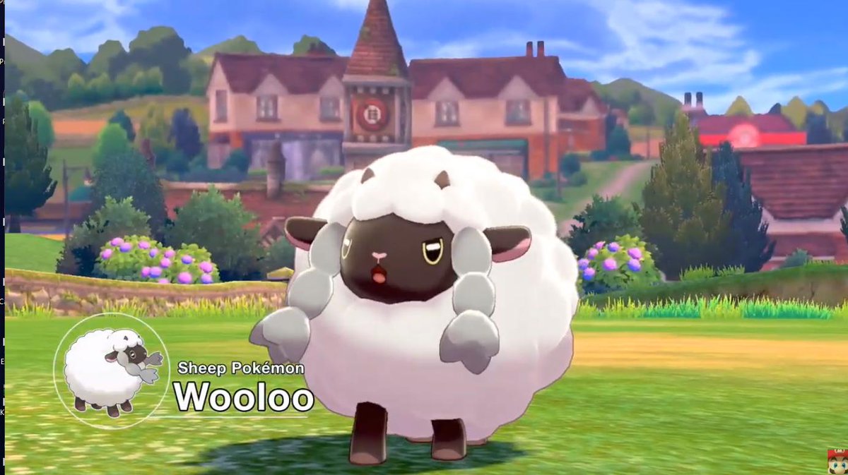 Pokémon GIF: Wooloo is still cheering for you – Pokémon Blog