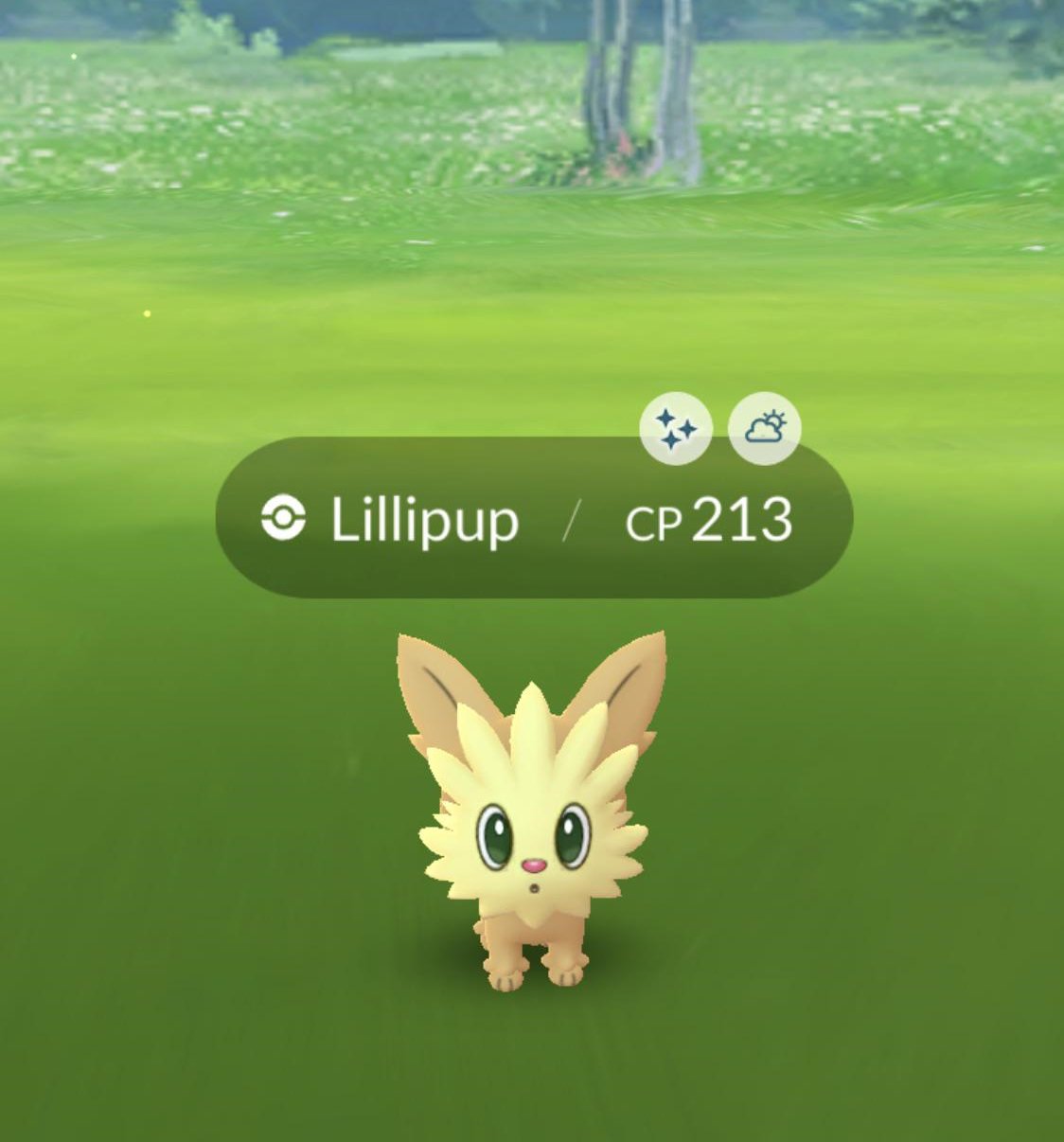 Shiny Patrat, Shiny Lillipup, Shiny Klink, Shiny Klang, Shiny Klinklang ...