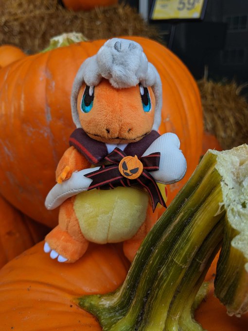 The Pokémon Company shares image of Charmander dressed as Cubone for ...