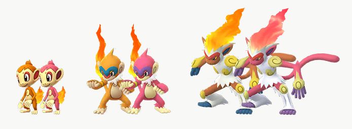 Shiny Chimchar Shiny Monferno And Shiny Infernape Now Available In