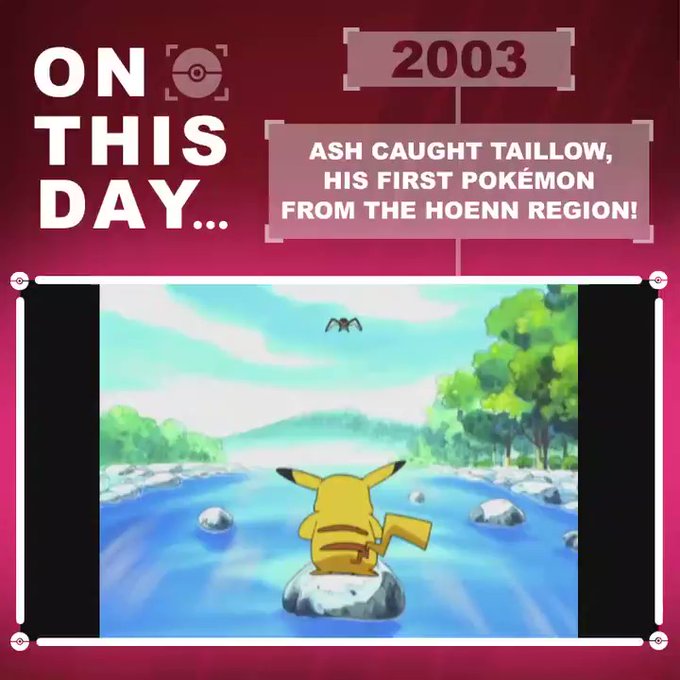 Video: Ash caught Taillow, his very first Pokémon after entering the ...