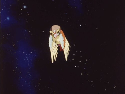 Pokémon GIF: If Pidgey fly far away, they’ll always come back – Pokémon ...