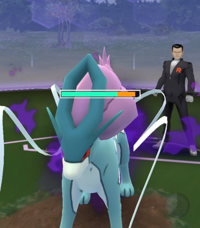 suicune team