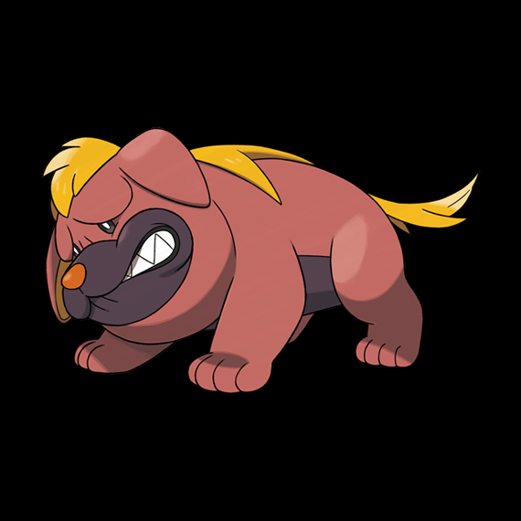 Maschiff – Pokémon Blog