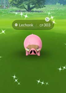 Pokémon Spotlight Hour with Lechonk and Shiny Lechonk with 2x Transfer ...